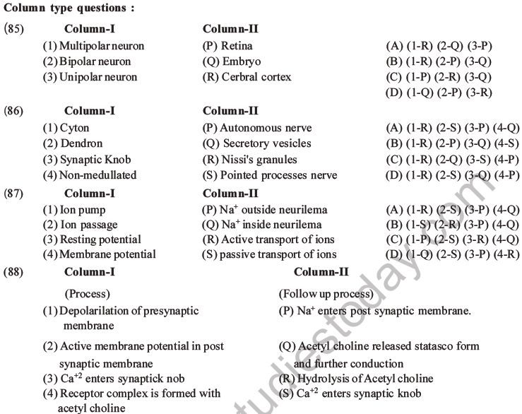 NEET Biology Neural Control and Coordination MCQs Set A with Answers
